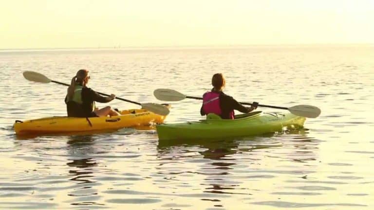 Emotion Glide Kayak Review: How Does It Stack Up?