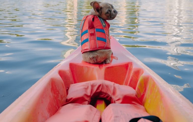 9 Best Kayaks for Dogs (2022): Top Pup Reviewed Picks